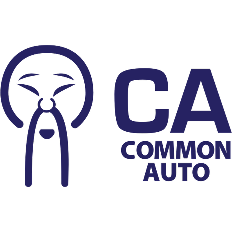 Auto Spare Parts for Common Auto - Faroussi Store